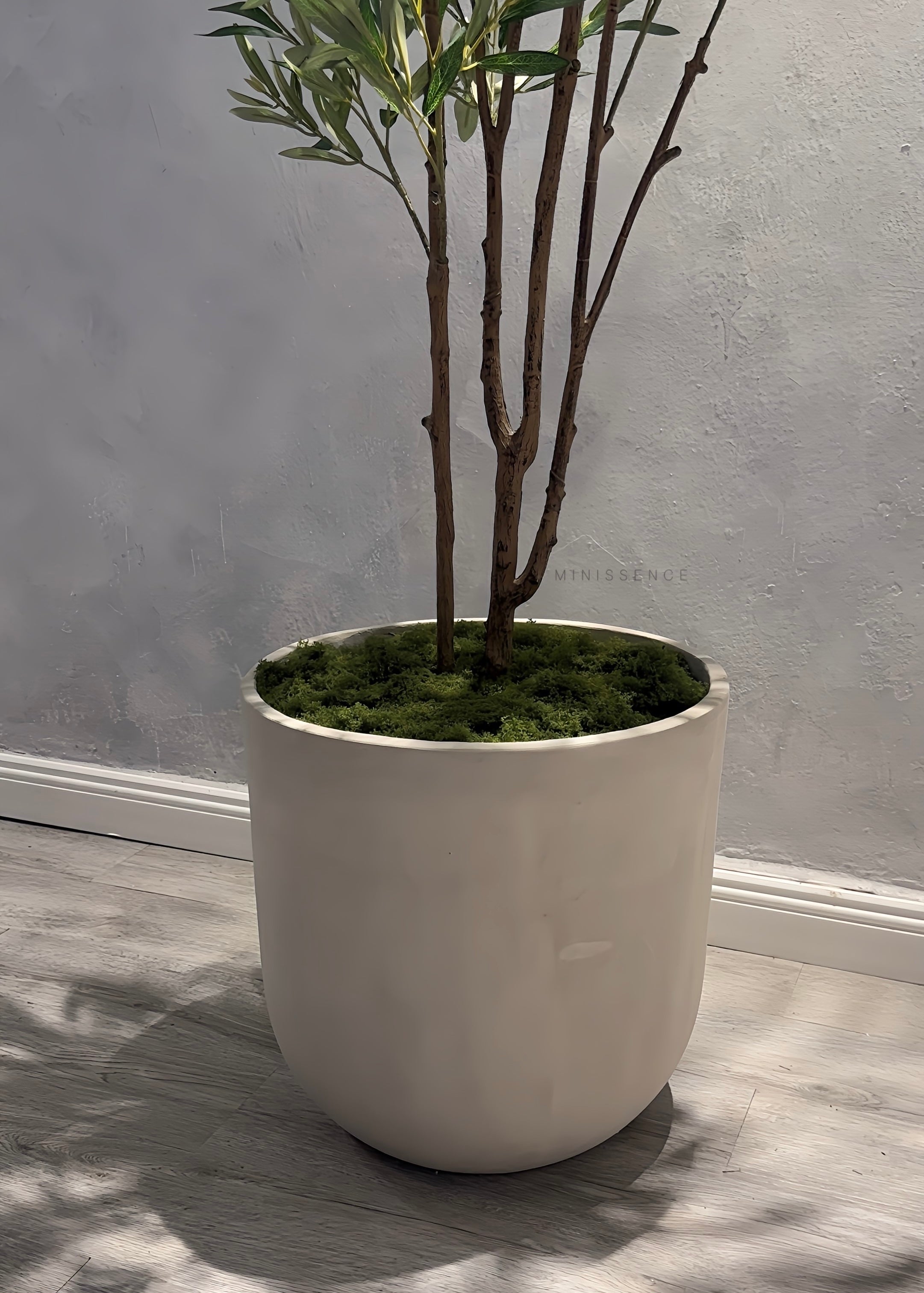 Cement Vault Pot – Minissence